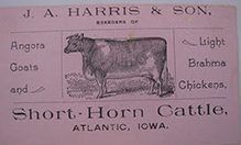 Missing Johnson Children - Family History